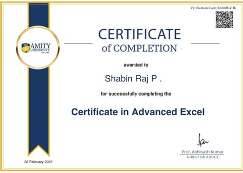 Shabin Raj P On Linkedin Advancedexcel Amity