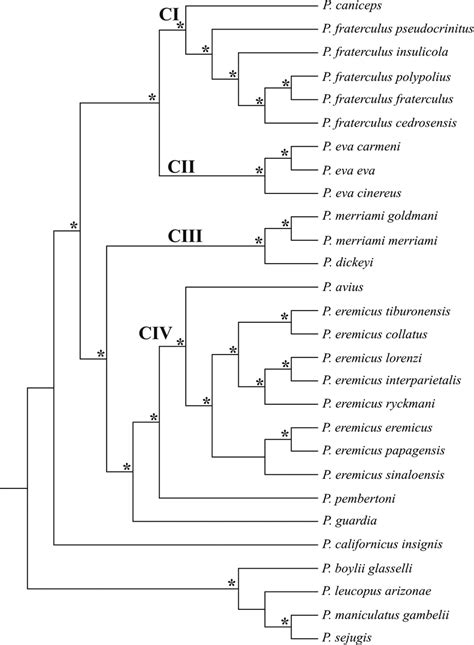 Bayesian Inference Tree Of Haplomylomys Based On Coi Haplotypes