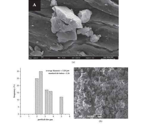 Sem Of B Cyclodextrin A And Complex B Download Scientific Diagram