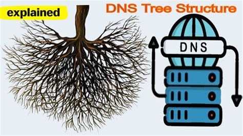 Dns Tree Structure What Is Dns Tree Structure Dns Hierarchy