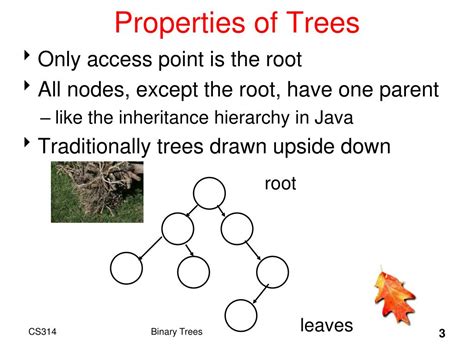 Ppt Understanding Binary Trees Properties Traversals