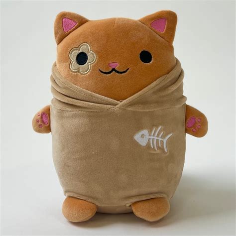 Clementine Cat Hide The Vibe