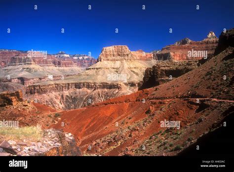 Grand Canyon Kaibab Trail Descent Of Grand Canyon National Park Arizona