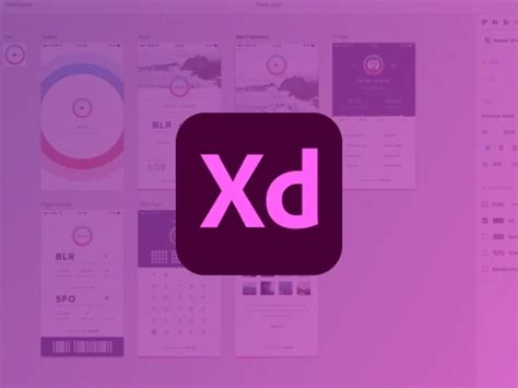 Xd To React Expert Xd To Reactjs Expert Xd To Reactjs Developer