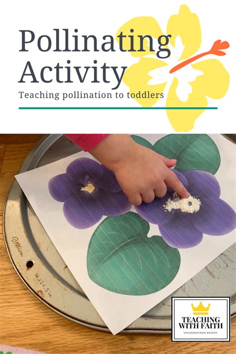 Butterfly And Bee Pollination Activity Pollination Activity