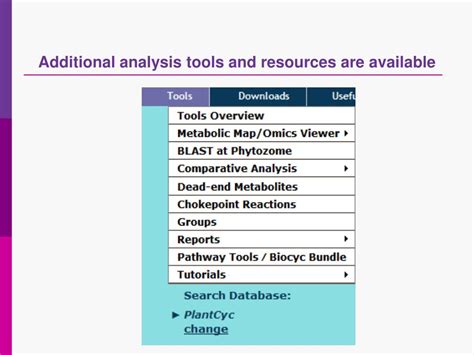 Ppt Introduction To The Plant Metabolic Network Data And Tools For Analysis And Discovery