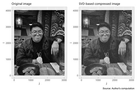 tutorial singular vector decomposition based image compression in r by riki matsumoto medium