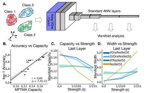 Neuroai And Geometry