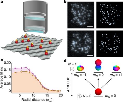 Molecular Quantum Gas Microscope A Schematic Of The Molecular Quantum Download Scientific