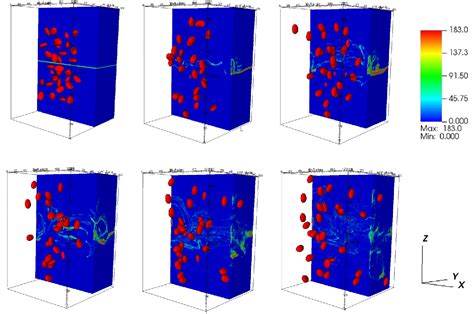 Figure 14 From Random Walk Metaball Imaging Discrete Element Lattice Boltzmann Method For 3d