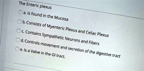 Solved The Enteric Plexus Is Found In The Mucosa It Consists Of Myenteric Plexus And Celiac