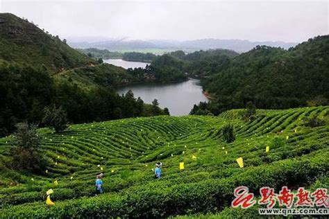 国家AAA级旅游景区成功落地云雾镇