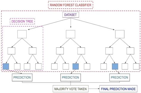Depicts The Random Forest Classifier Download Scientific Diagram