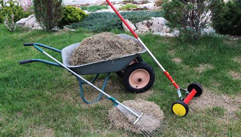 Dethatching Lawns 101 How To Dethatch Your Lawns