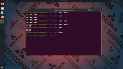 Команды Линукс для создания файлов курсы администратора Linux Ереван Сетевая Академия Cisco
