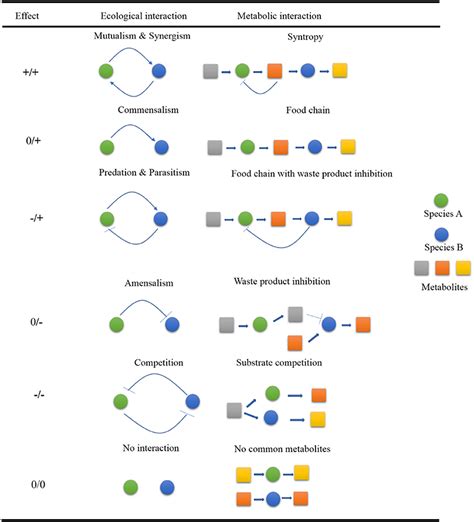 Frontiers Current Trends And Potential Applications Of Microbial Interactions For Human Welfare