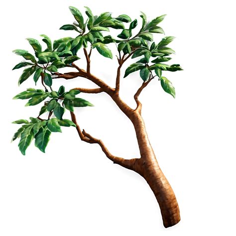 Download Realistic Tree Branch Png Wallpapers Com