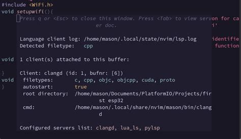 Lsp Problems With Using Platformio Rneovim