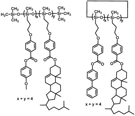 Polymers Special Issue Liquid Crystalline Polymers