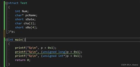 指针深度应用、解析及辨析（附代码）指针及其应用分析与讨论 Csdn博客