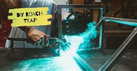 5 Diy Roach Traps Try These Pest Survival Guide