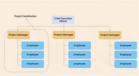 Organization Structure Functional Projectized Matrix Organizational