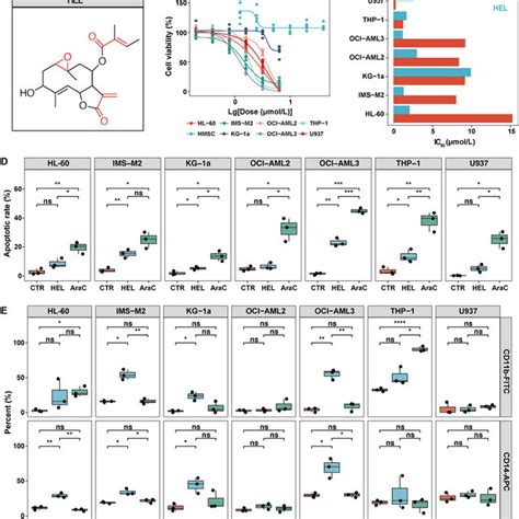 Hel Induces Apoptosis Cell Cycle Arrest And Cell Differentiation Of