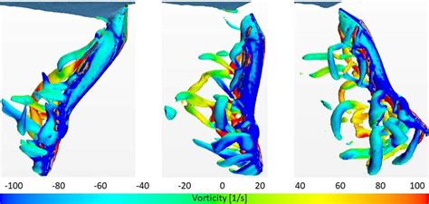 Spatio Temporal Evolution Of The Vortex Structures Around The Hand And Download Scientific