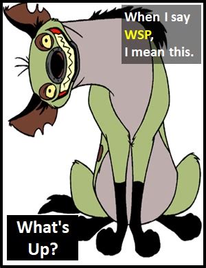 WSP What Does WSP Mean