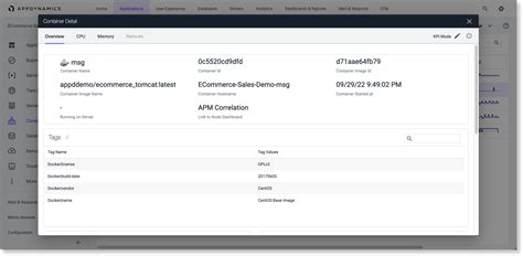 Monitor Containers With Docker Visibility
