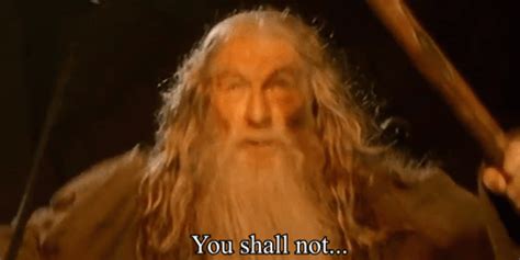 You Shall Not Pass  The Lord Of The Rings You Shall Not Pass