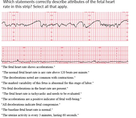 Solved Which Statements Correctly Describe Attributes Of The