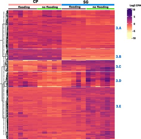 k means clustering analysis of genes differentially expressed between