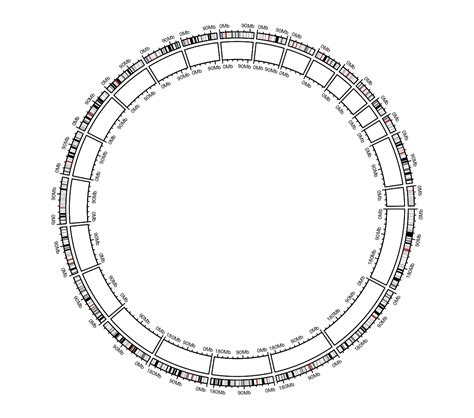 R 数据可视化 —— Circlize 基因组高级绘图 使用r进行全基因组circos图 Csdn博客
