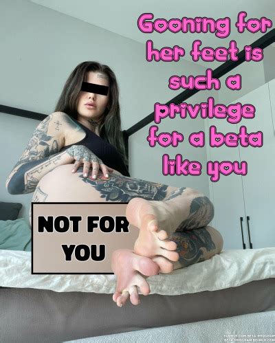 Beta Program Tumblr Tumbex