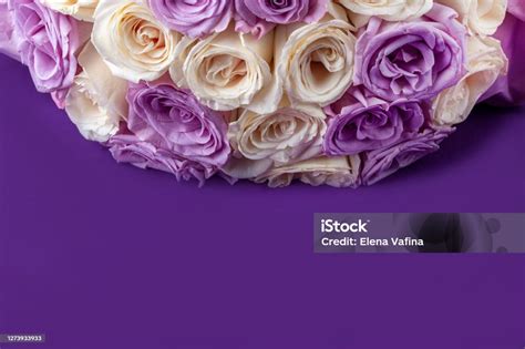 엽서 표지 배너를 위한 신선한 놀라운 흰색과 보라색 장미의 꽃다발 마더 발렌타인 데이 생일 또는 결혼식을위한 선물로 아름다운 꽃 텍스트 소프트 포커스를 위한 공간 복사 결혼