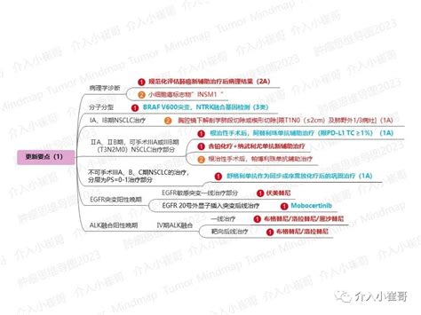 Csco2023肿瘤思维导图02期 非小细胞肺癌诊疗指南 非小细胞肺癌 医疗卫生 临床诊疗 肿瘤 健康界