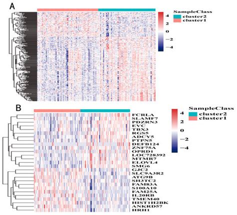 Genes Free Full Text Classification And Prognosis Analysis Of Pancreatic Cancer Based On Dna