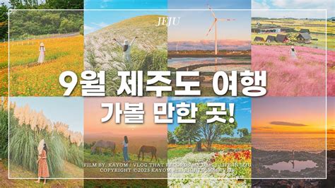 🌾 9월 10월 제주도 가볼 만한 곳 Best11 인생샷 남기기 좋은 제주 핫플 추천 제주 핑크뮬리 서쪽 노을 명소 팜파스 새별오름 억새 가을 제주도 여행