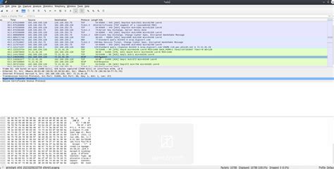 Hack The Box Introduction To Network Traffic Analysis