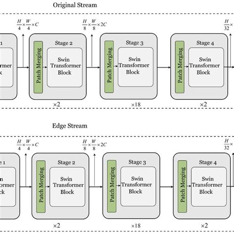 The Framework Of The Two Stream Swin Transformer It Has Two Inputs Download Scientific