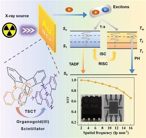 Through Space Charge Transfer Organogoldiii Complexes Enable High