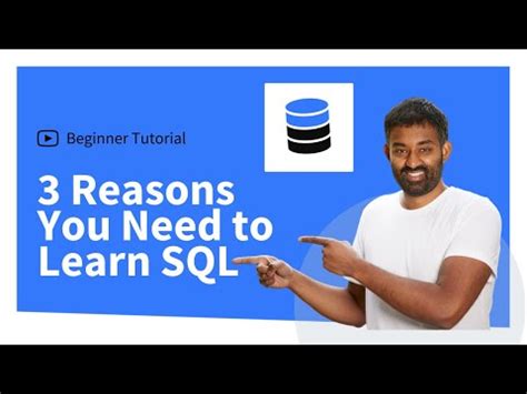 Why You Need To Learn SQL If You Want A Job In Data Science QuadExcel
