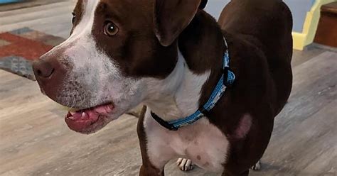 Freya Album On Imgur