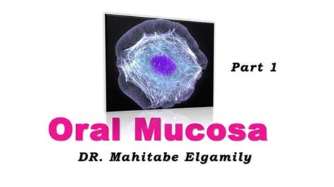 Handout Of Oral Mucosa Histology Pdf Dental Health Diseases And