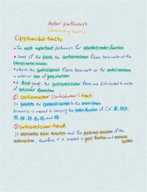 Solution Motor Pathway Descending Tracts Pyramidal Corticospinal And Extrapyramidal Tracts
