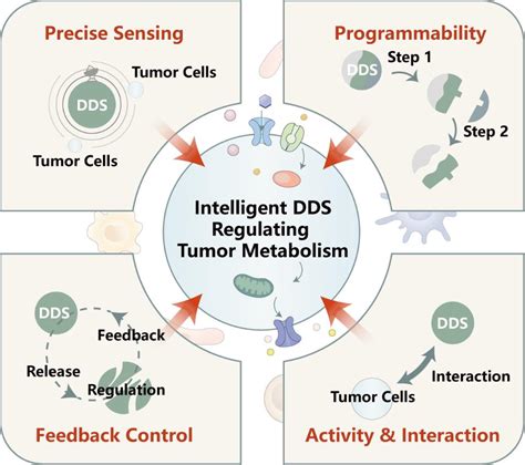 药学院蒋晨课题组总结肿瘤代谢调控中的智能递送系统新进展