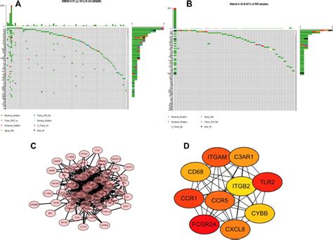 Somatic Mutation Frequency Landscape And Protein Protein Interaction