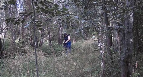 A Few Women And A Persistent Vehicle The Tree Spy