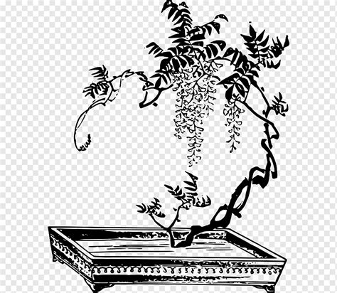 꽃 테두리 및 프레임 동양 수채화 그림 흑백 꽃밭 Png Pngwing